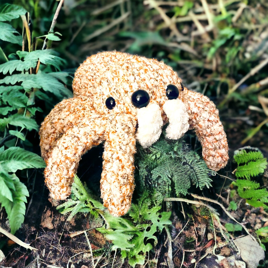 Spider Plushie Tarantula Amigurumi - Etsy
