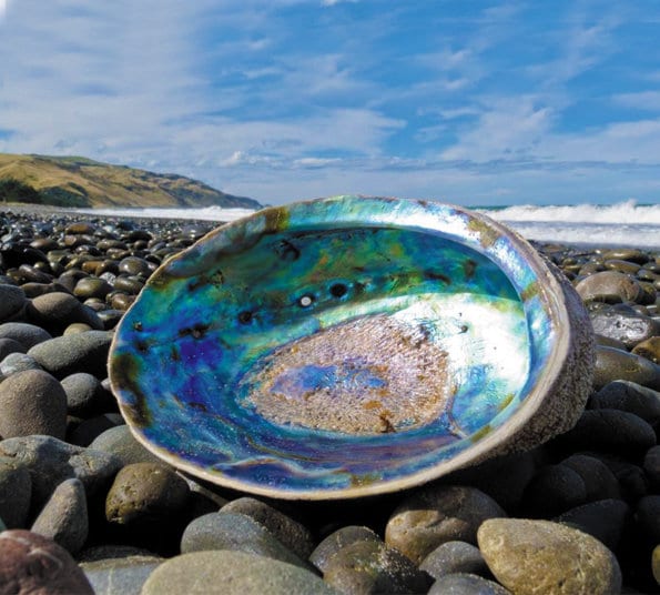 Walnut Wood Ring With Blue Abalone Inlay Wooden Ring With - Etsy