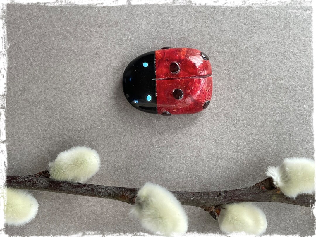 Native American Lady Bug Carving Fetish by Artist Reynold Lunasee - Etsy
