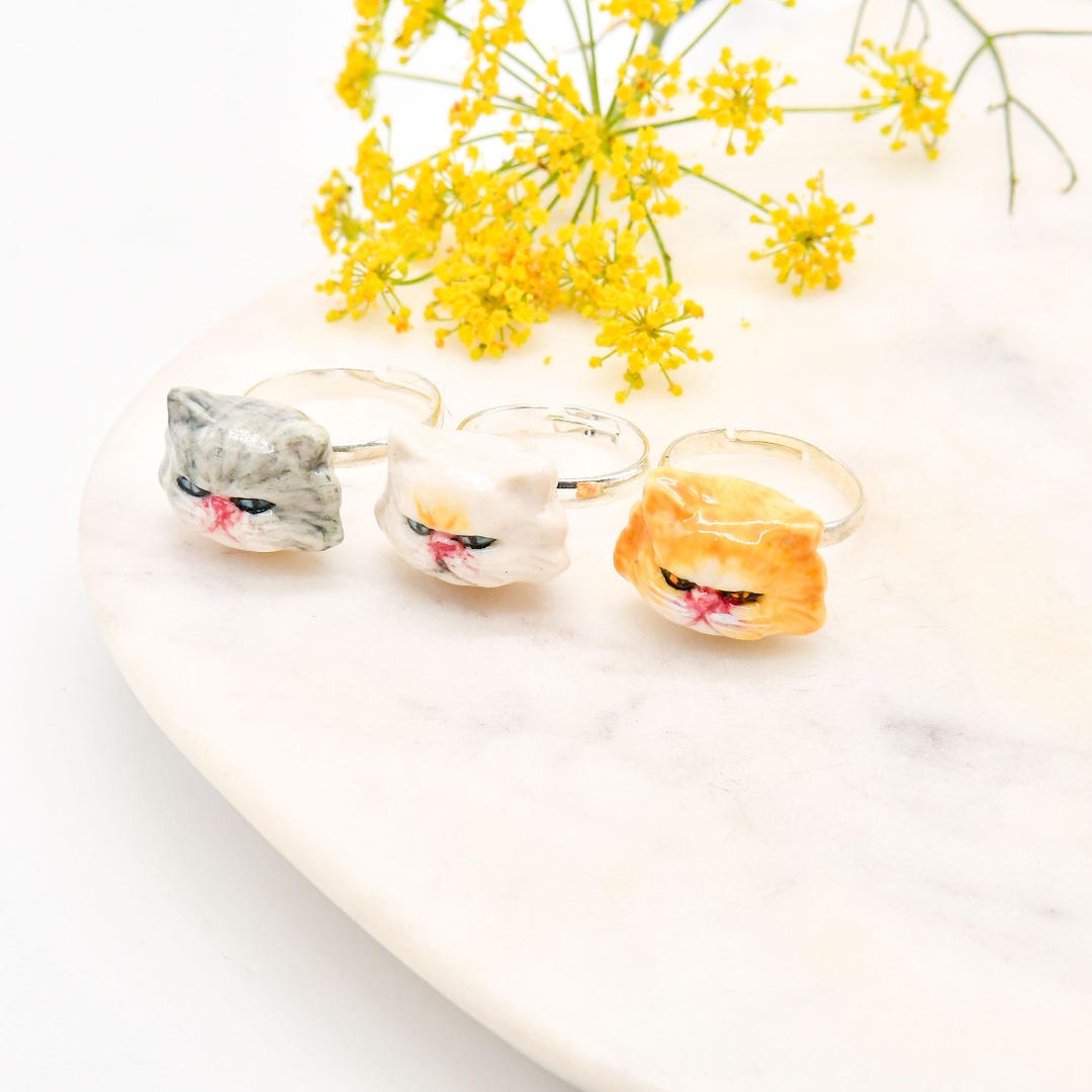 Grumpy Persian Cat Ring/ Persian Cat/ Cat Ring/ Moody Cat Ring/ Ring ...