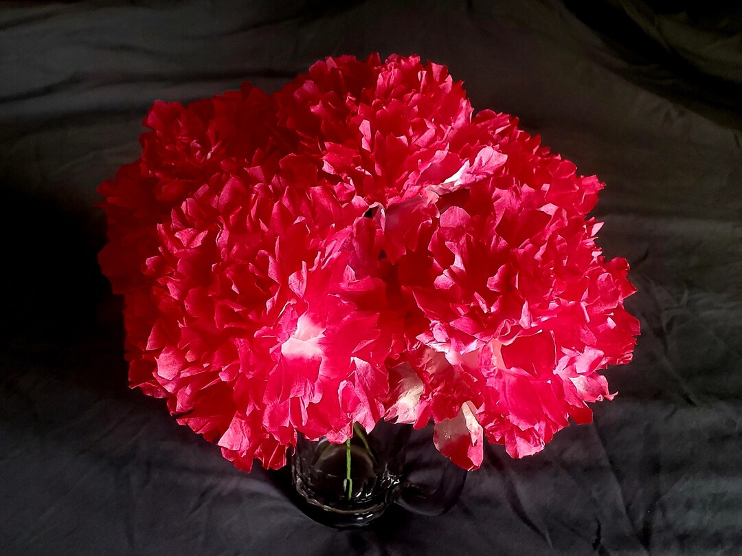 Red Paper Carnations, Realistic Paper Carnations, Red and White ...