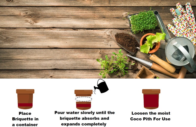 Environsoil Coconut Coir, Coco Peat Block - Organic Compost Low EC and ...