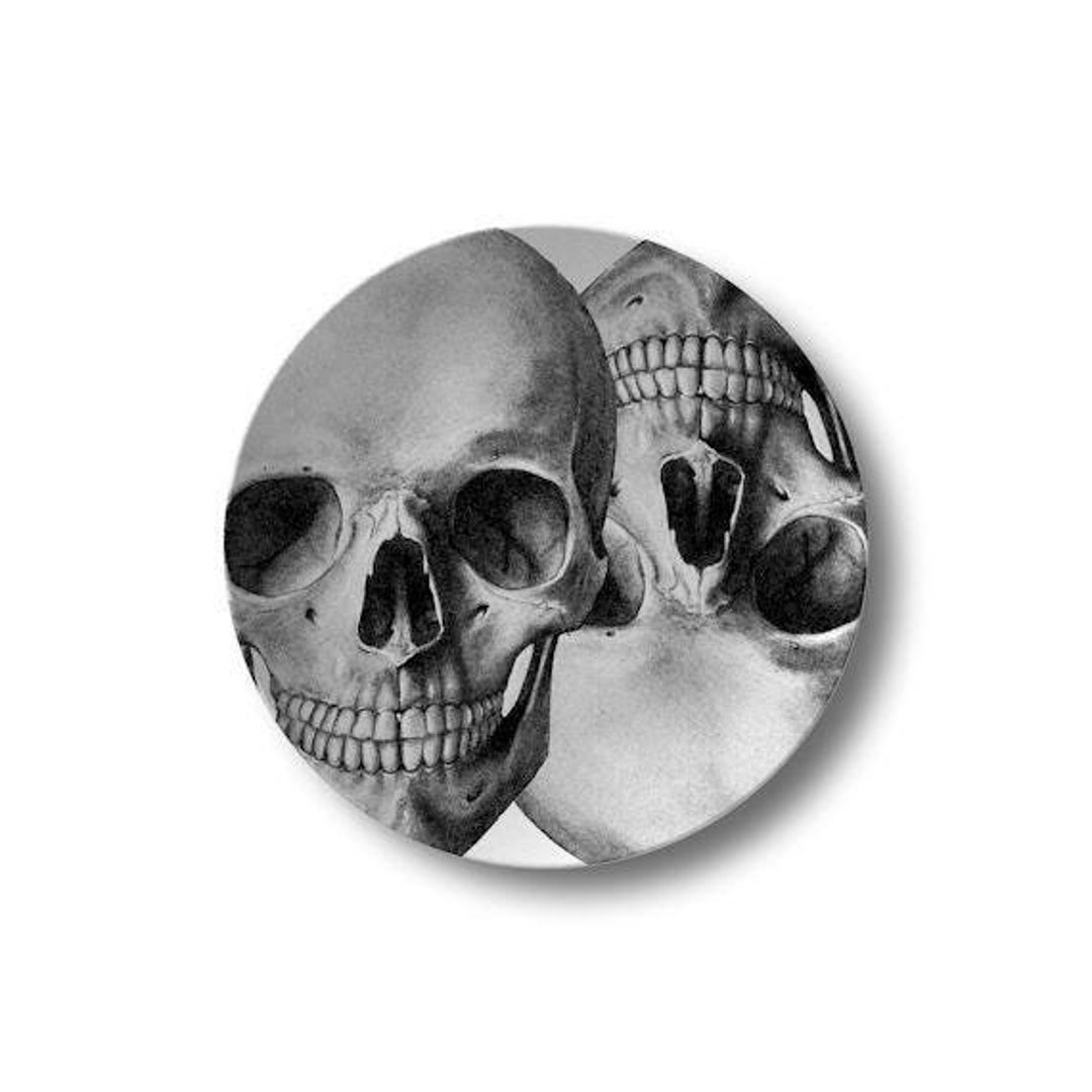 Skull Dinner Plate, Vintage Anatomy Themed Dinnerware, Halloween Party ...