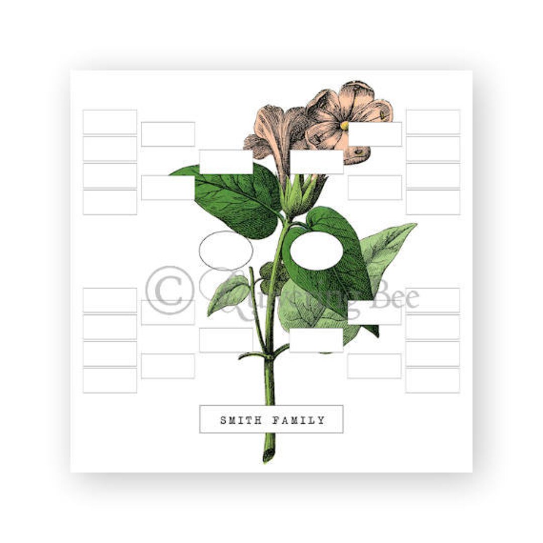 Family Tree Printables, Digital Downloads, Genealogy Chart, 12 X 12 ...