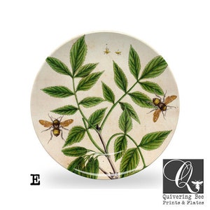 Vintage Botanical Dinner Plates: Bee Art Dishes, Herb Themed Kitchen ...
