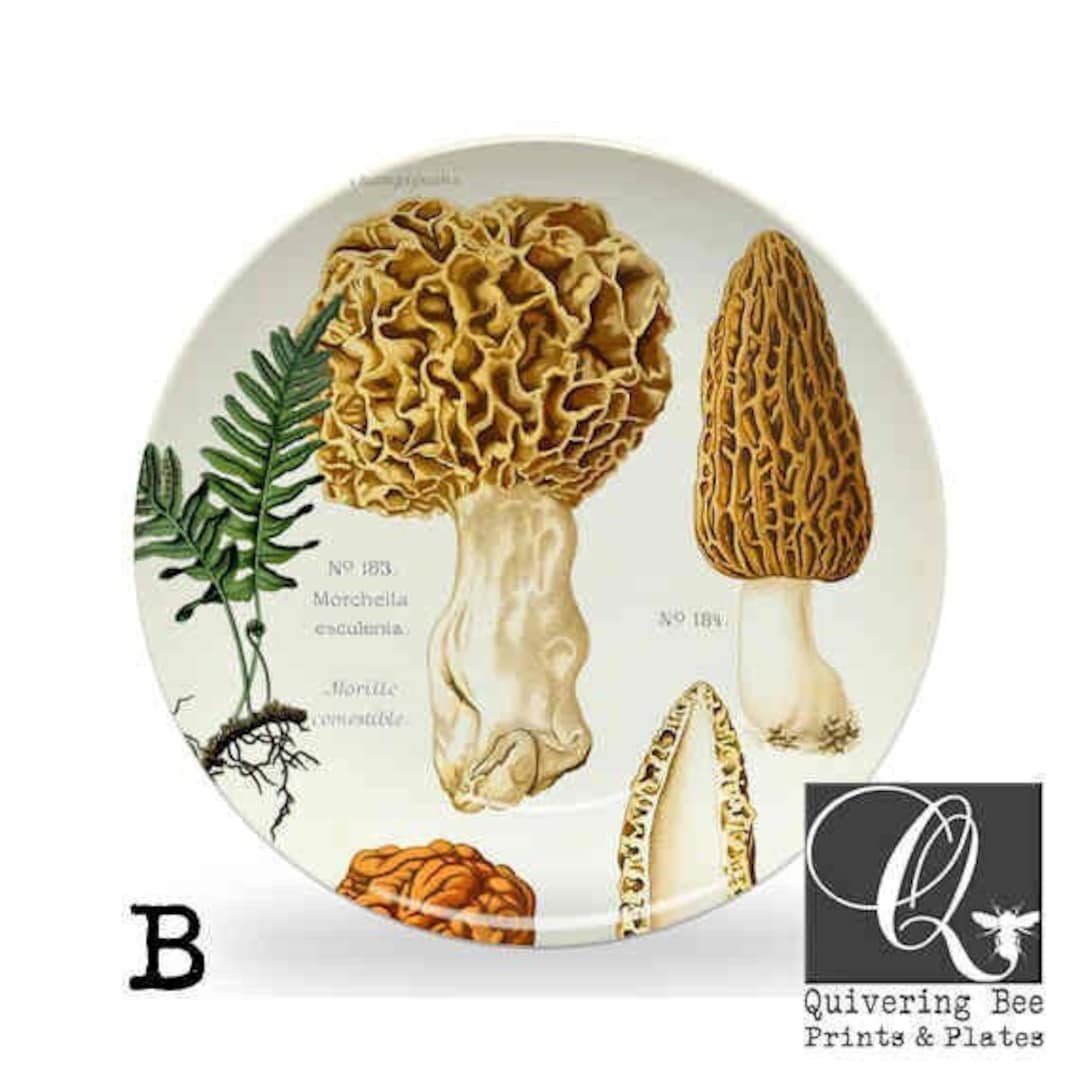 Mushroom Dinner Plates,decoware™ Dinnerware,woodland Art Plates ...
