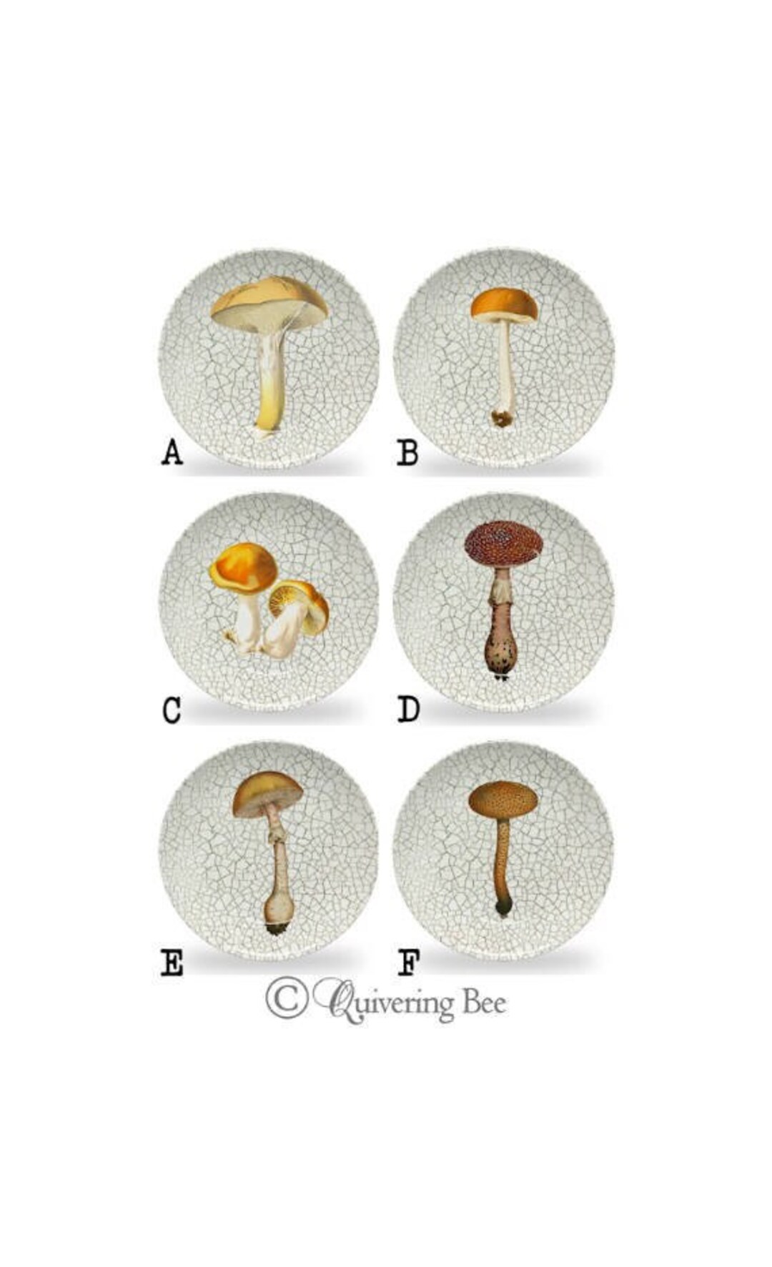 Mushroom Dinner Plate Set of 6, Botanical Dish Sets, Indoor/outdoor ...