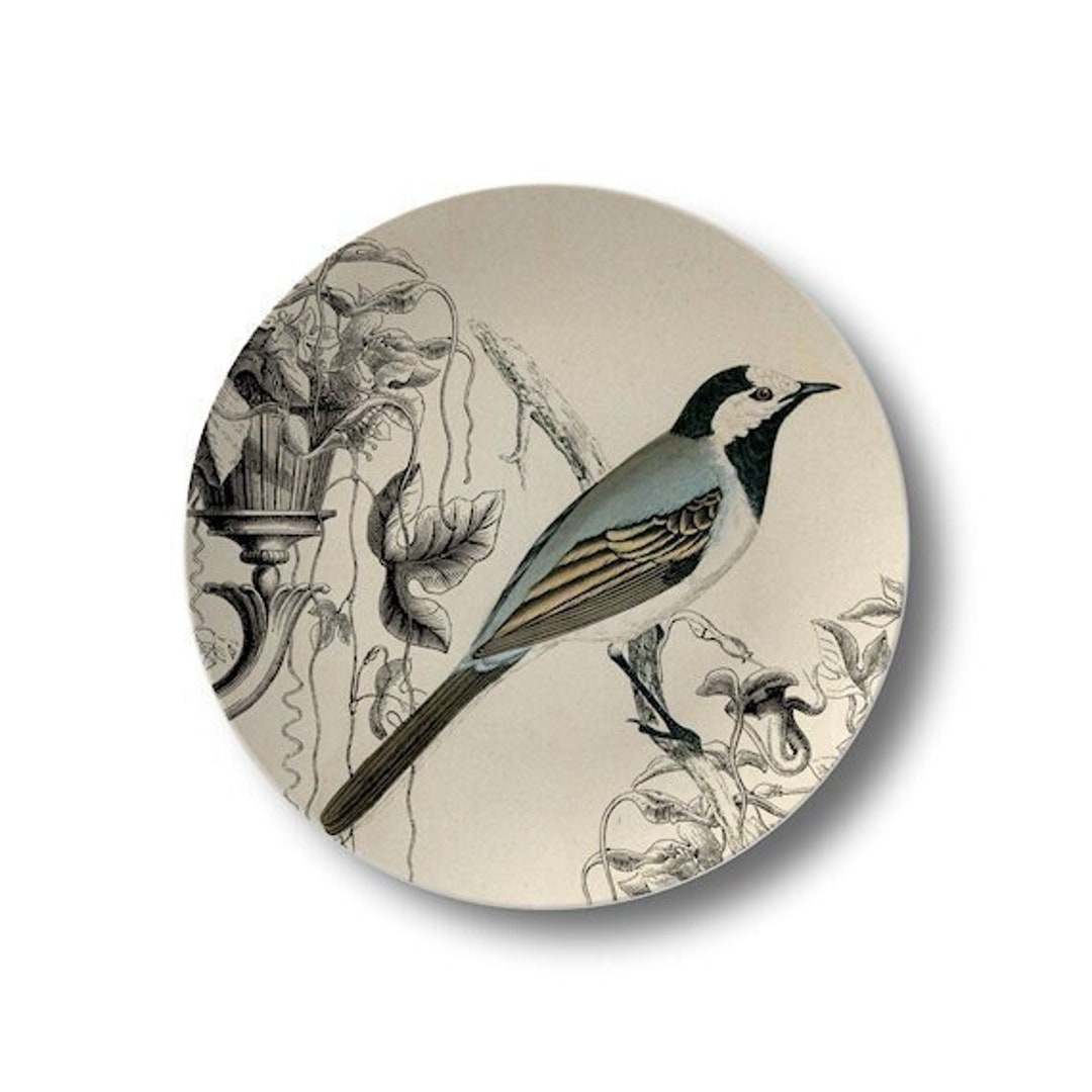 Bird Art Dinner Plate,vintage Inspired Bird Dinnerware,decoware™,10 ...