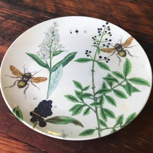 Dragonfly Fern Dinner Plate: Durable Cabin Tableware, Woodland Dishware ...