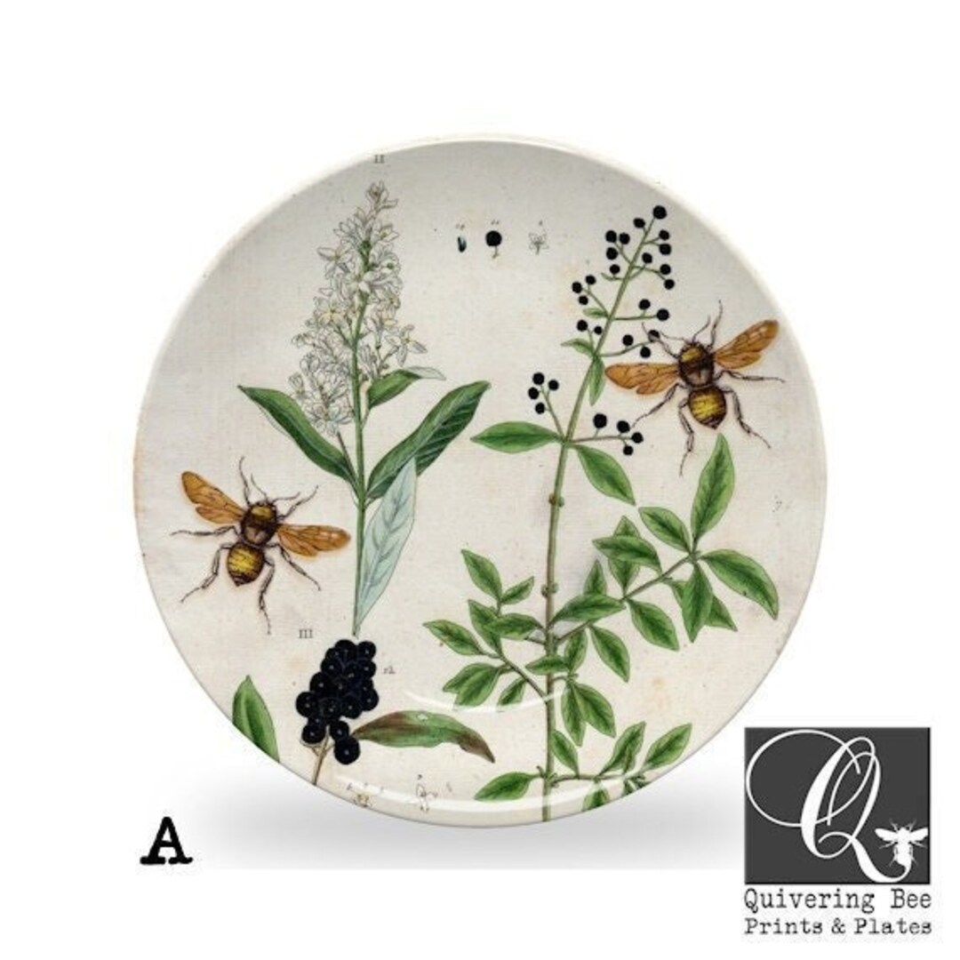 Vintage Botanical Dinner Plates,bee Dishes,decoware™ Dinnerware ...