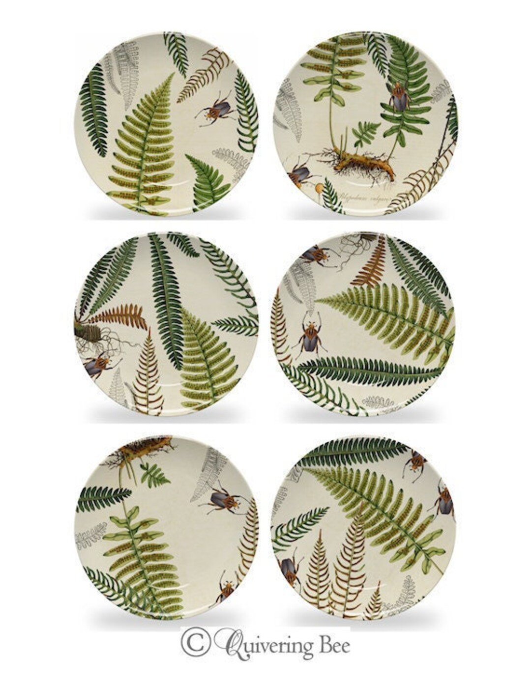 Set of 6 Fern Dinner Plates,vintage Botanical Dish Set,durable Indoor ...