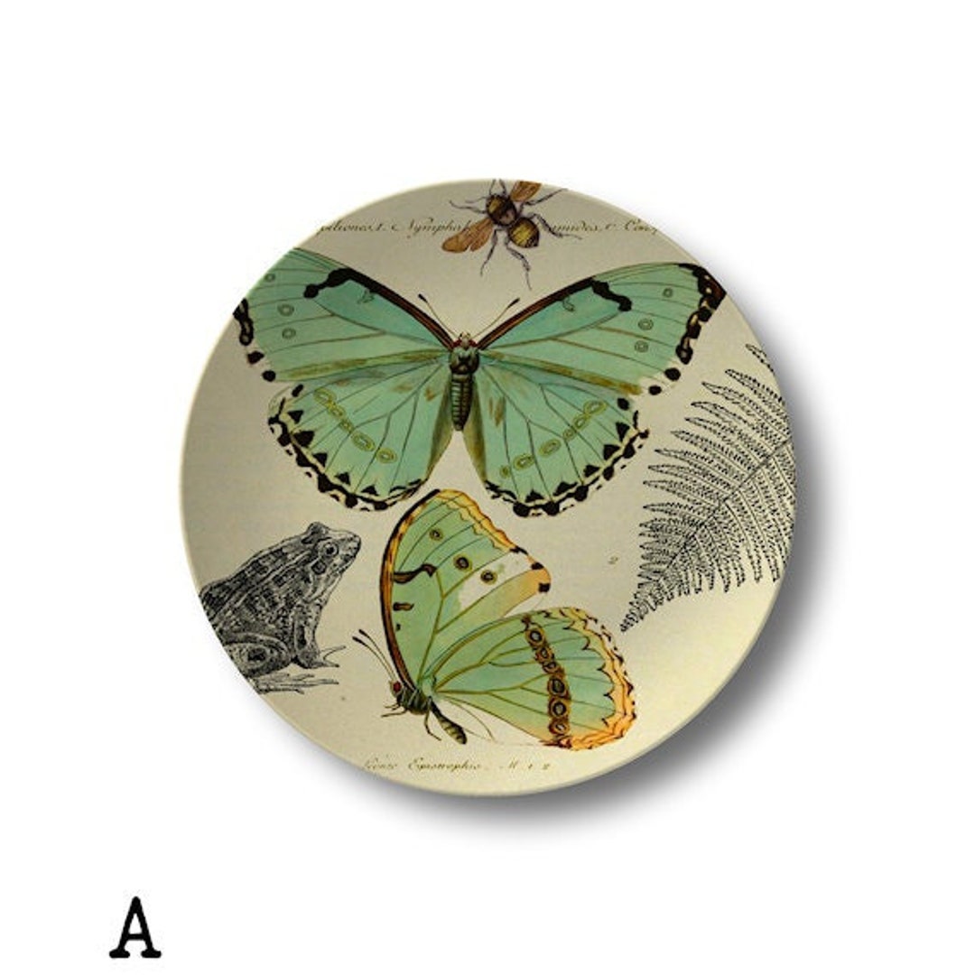 Butterfly Dinner Plates, Durable Indoor/outdoor Dinnerware, Patio ...