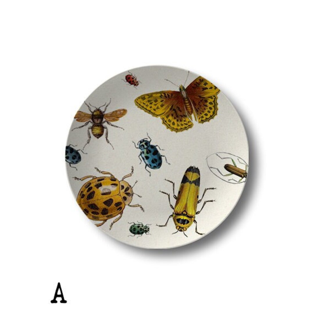 Butterflies & Beetles Dinner Plates,durable Indoor/outdoor Dinnerware ...