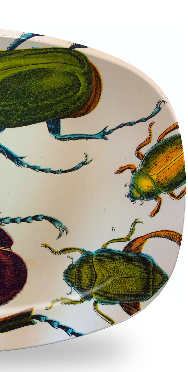 Beetle Art Serving Platter: Bug Art Tray, Vintage Insect Themed ...