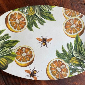 Dragonfly Fern Dinner Plate: Durable Cabin Tableware, Woodland Dishware ...