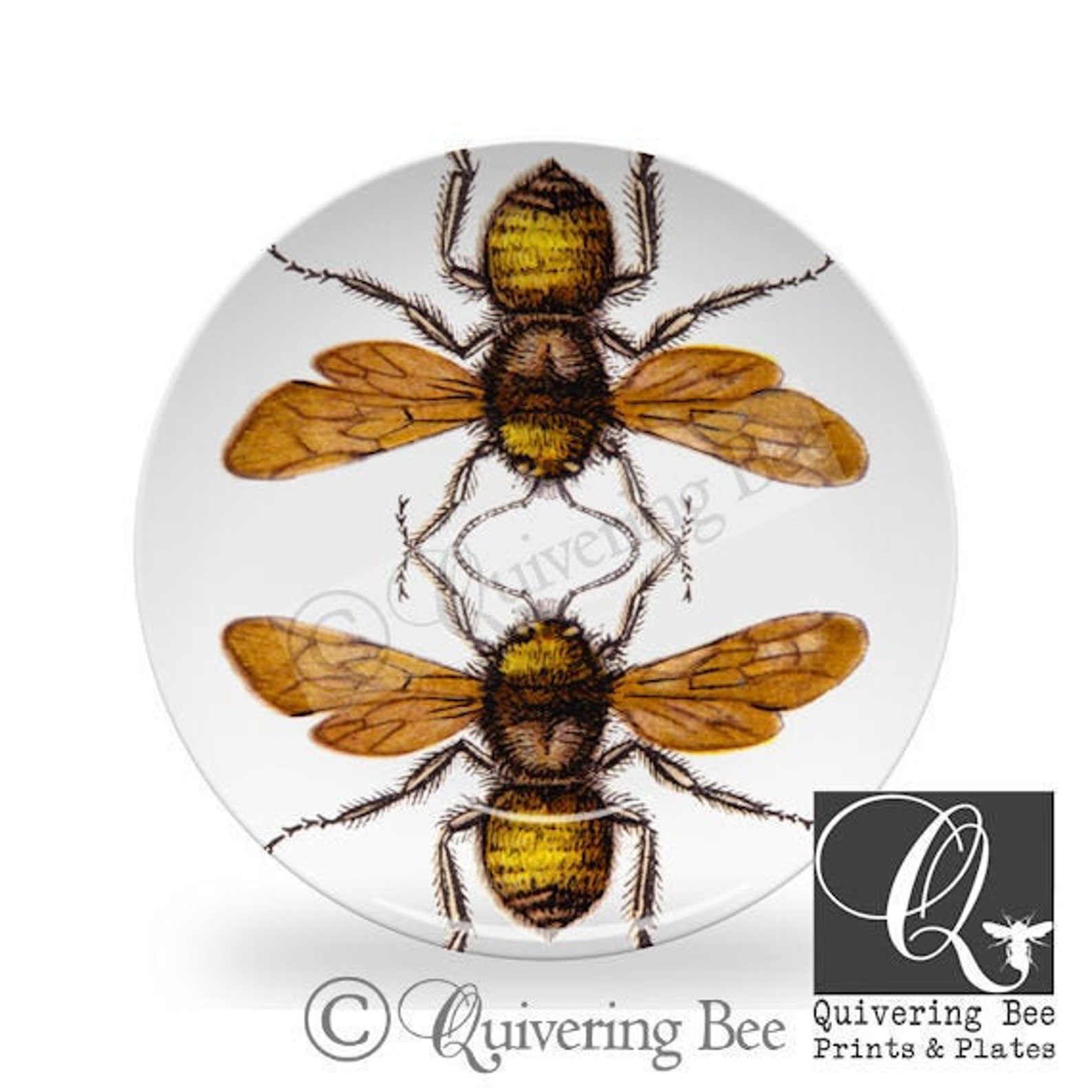 Bee Art Dinner Plateshoneybee Dinnerwarethermosāf® - Etsy