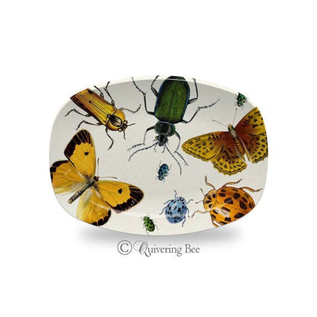 Butterfly Serving Platter, Insect Themed Tray, Bug Art Dinnerware ...