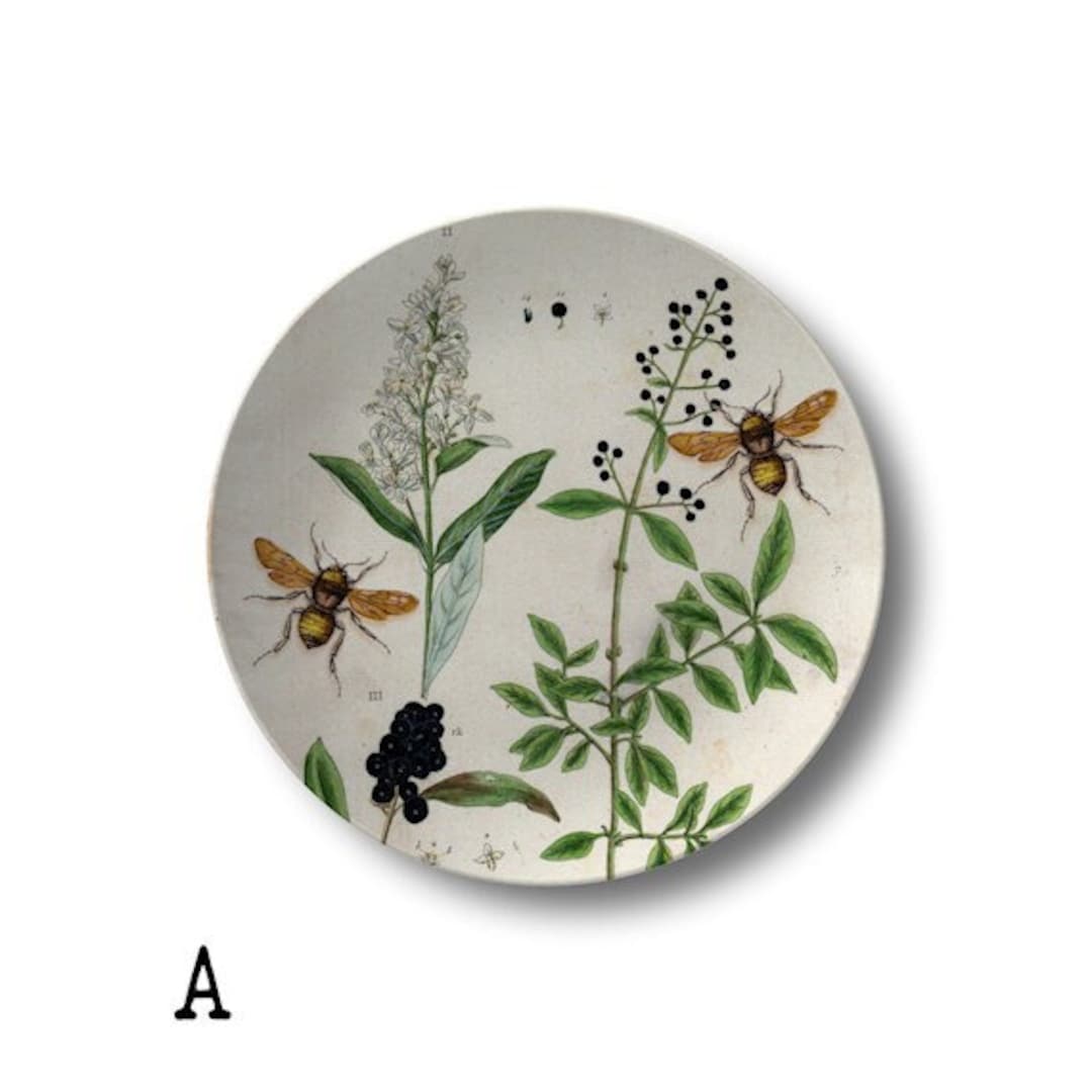 Vintage Botanical Dinner Plates,bee Dishes,decoware™ Dinnerware ...