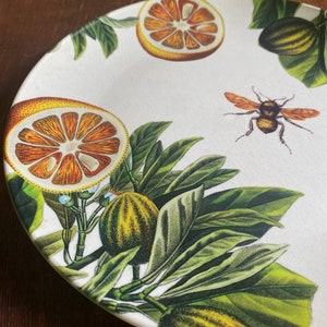 Goldfish Art Dinner Plate: Blue & White Nautical Coastal Dishes, Fish ...