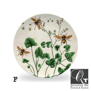 Vintage Botanical Dinner Plates: Bee Art Dishes, Herb Themed Kitchen ...