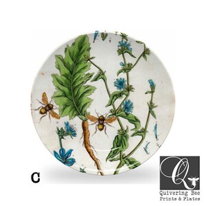 Vintage Botanical Dinner Plates: Bee Art Dishes, Herb Themed Kitchen ...