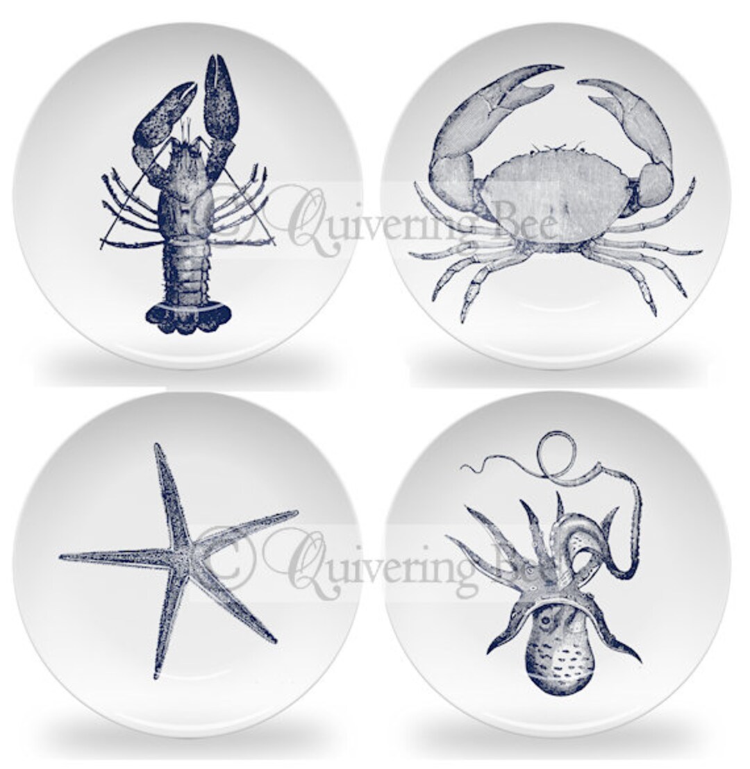 Nautical Dinner Plates,navy Blue & White Plates,decoware™ Dinnerware ...