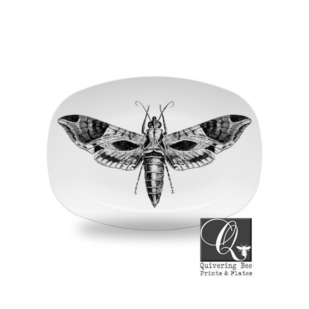 Luna Moth Serving Platter, Insect Art Dinnerware, Decoware™ Serving Platters, Bug Decor, Black ...