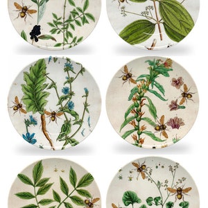 Vintage Botanical Dinner Plates: Bee Art Dishes, Herb Themed Kitchen ...
