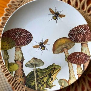 Dragonfly Fern Dinner Plate: Durable Cabin Tableware, Woodland Dishware ...