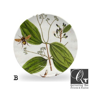 Vintage Botanical Dinner Plates: Bee Art Dishes, Herb Themed Kitchen ...