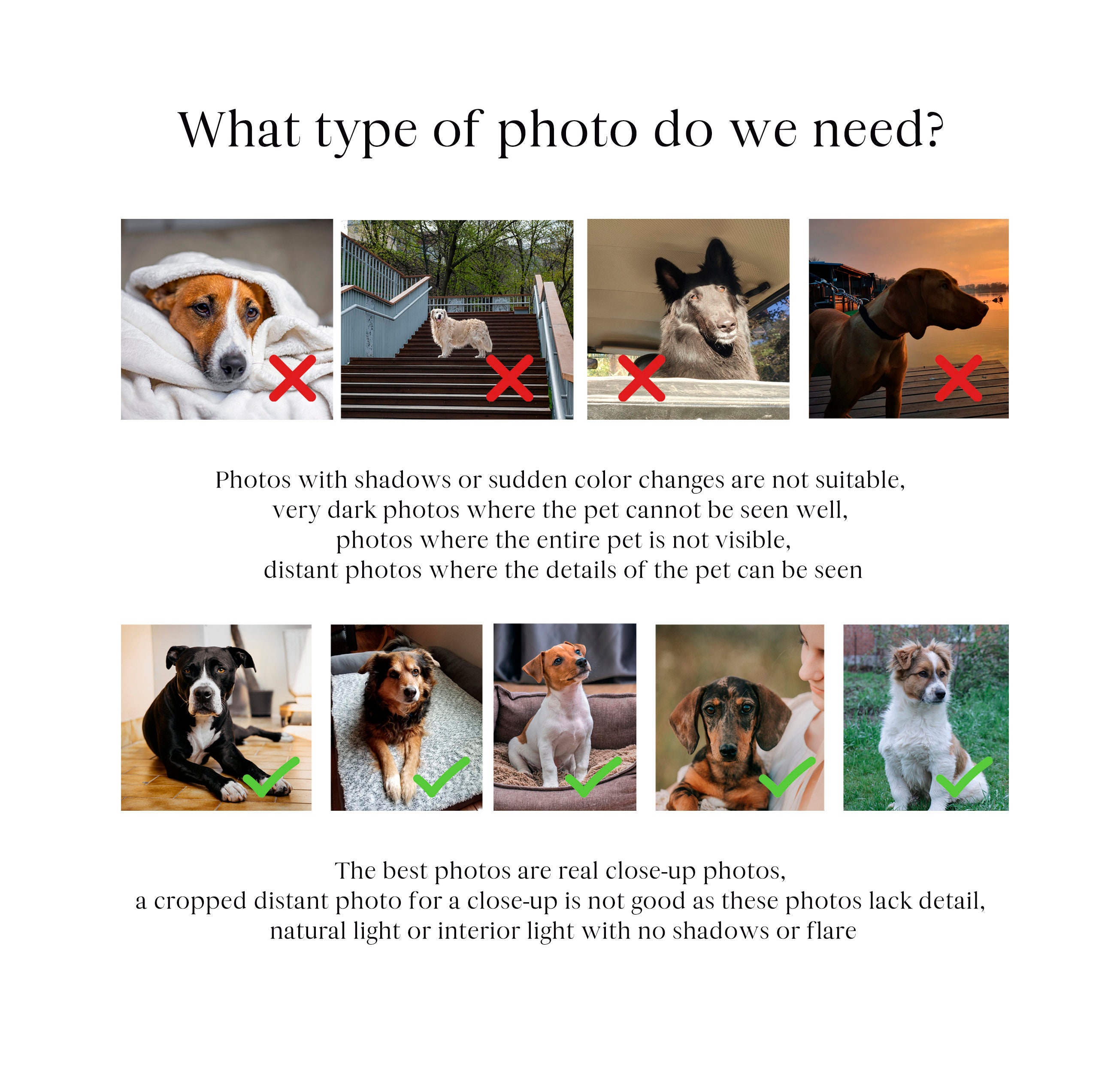 Two Dogs Portraits Two Pets Portraits Pet Lover Gift Custom - Etsy