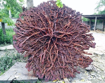 Tree Root Decoration ,tree Root Stand Decoration, Living Room ...
