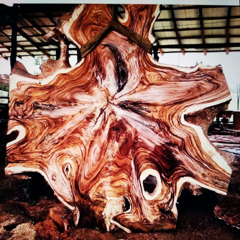 Tree Root Dining Table - Etsy