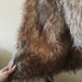 Ecological Fur With Weathering Effect - Etsy