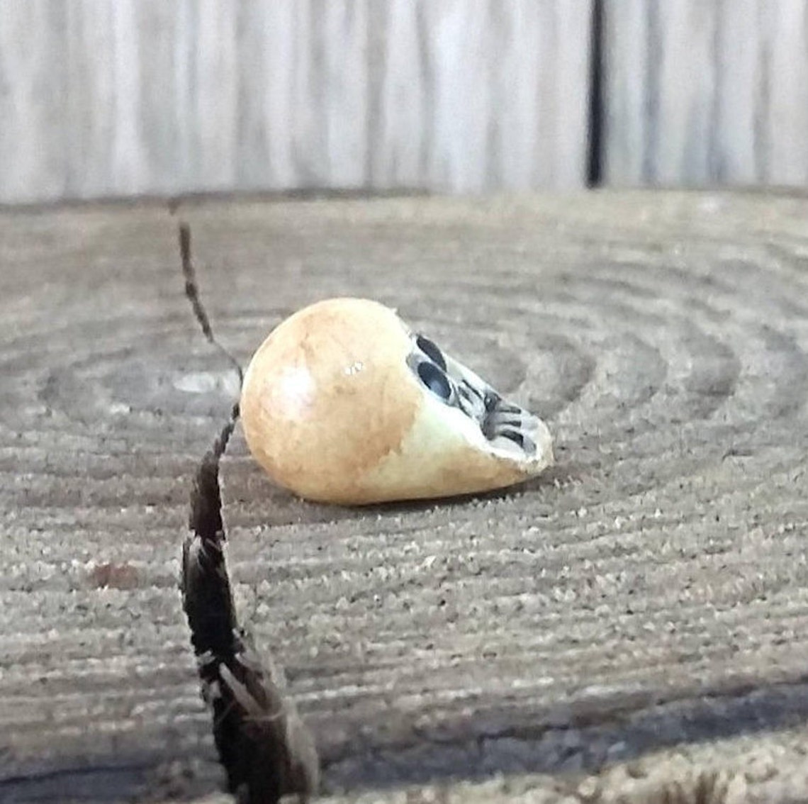 Miniature Skull , Mini Skull Decoration , Tiny Skull , Hand Painted ...