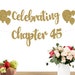 Celebrating Chapter 45 Banner,45th Birthday Banner, 45th Birthday, 45th ...