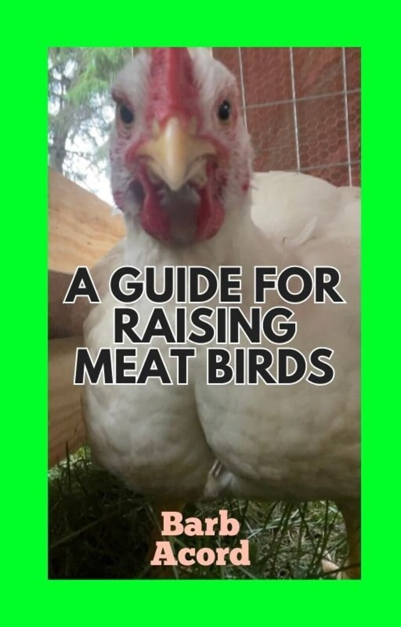 A Guide for Raising Meat Birds - Etsy