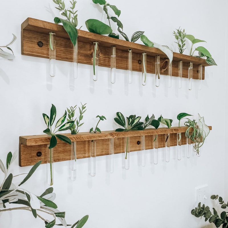 Propagation on Wall - Etsy