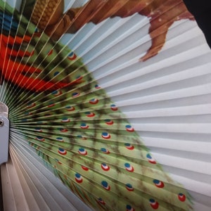 Fan / Handheld Paper Folding Fan / Vintage Folding Paper Peacocks Fan ...