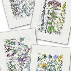 Wildflower Printable Botanic Prints Set of 4 Watercolors English ...