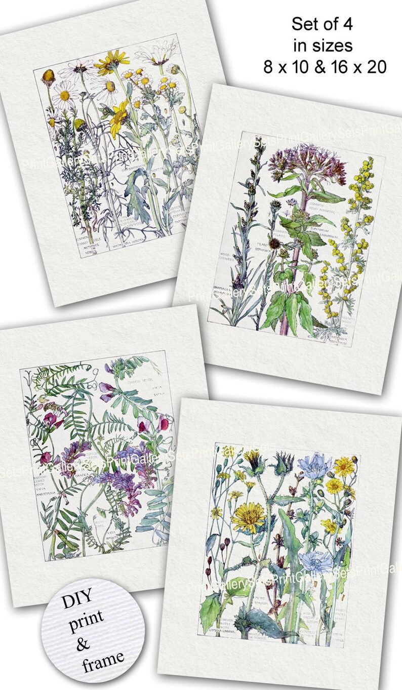 Wildflower Printable Botanic Prints Set of 4 Watercolors English ...