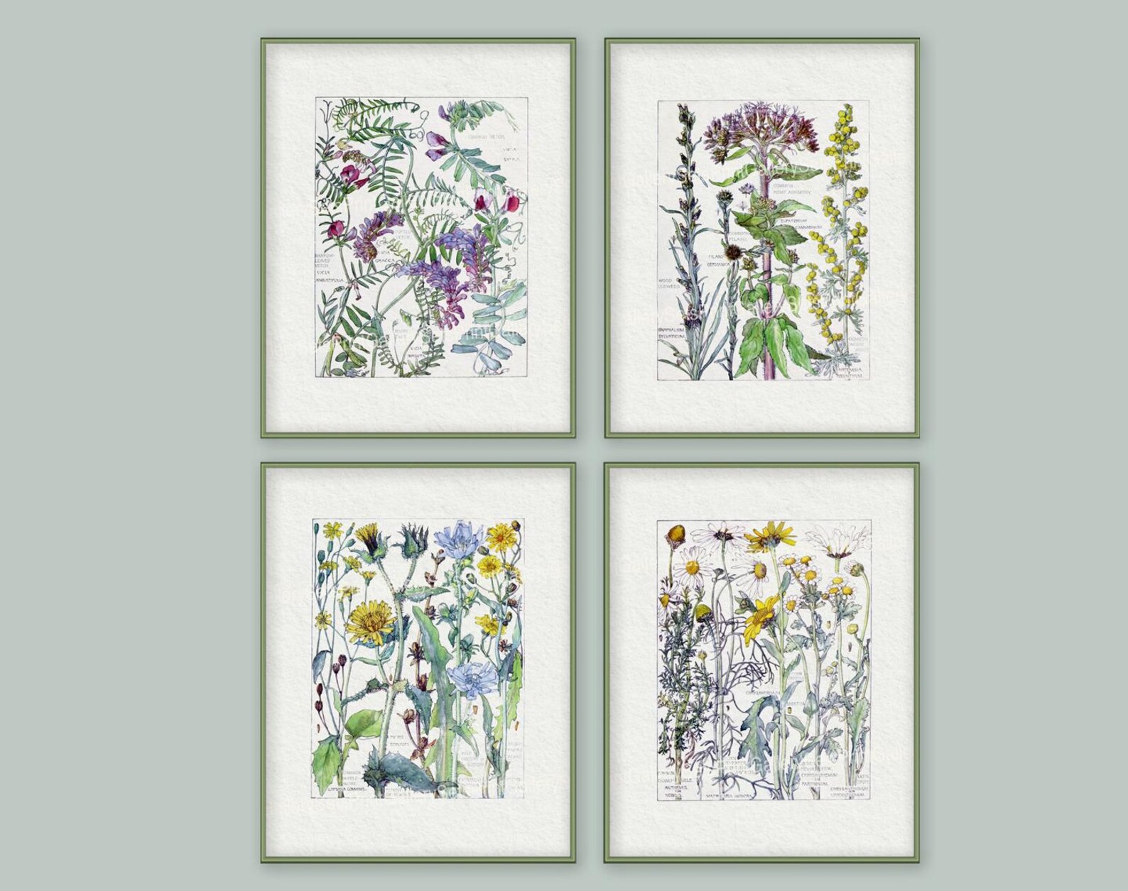 Wildflower Printable Botanic Prints Set of 4 Watercolors English ...