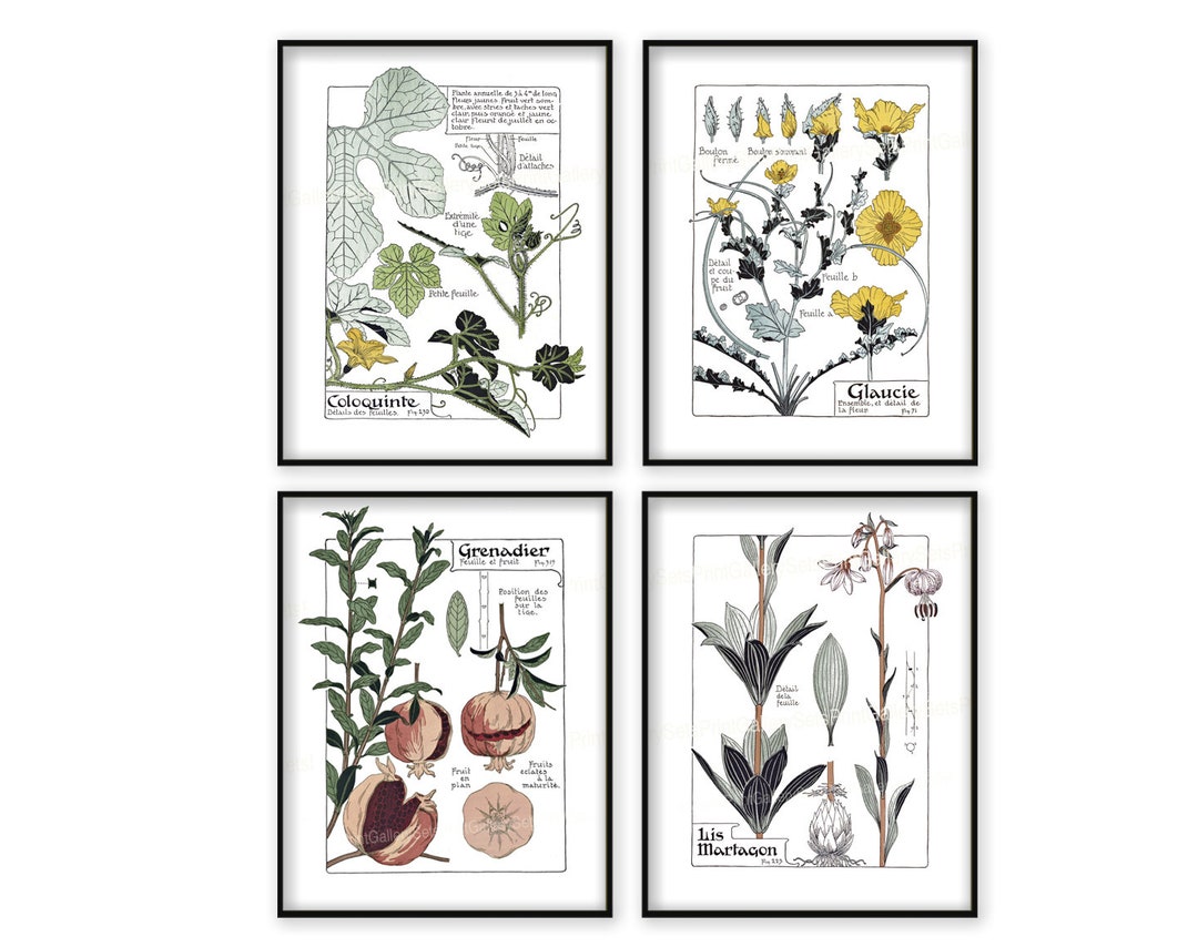 Art Nouveau Flower Prints Botanical Digital Download Color Book Plate ...