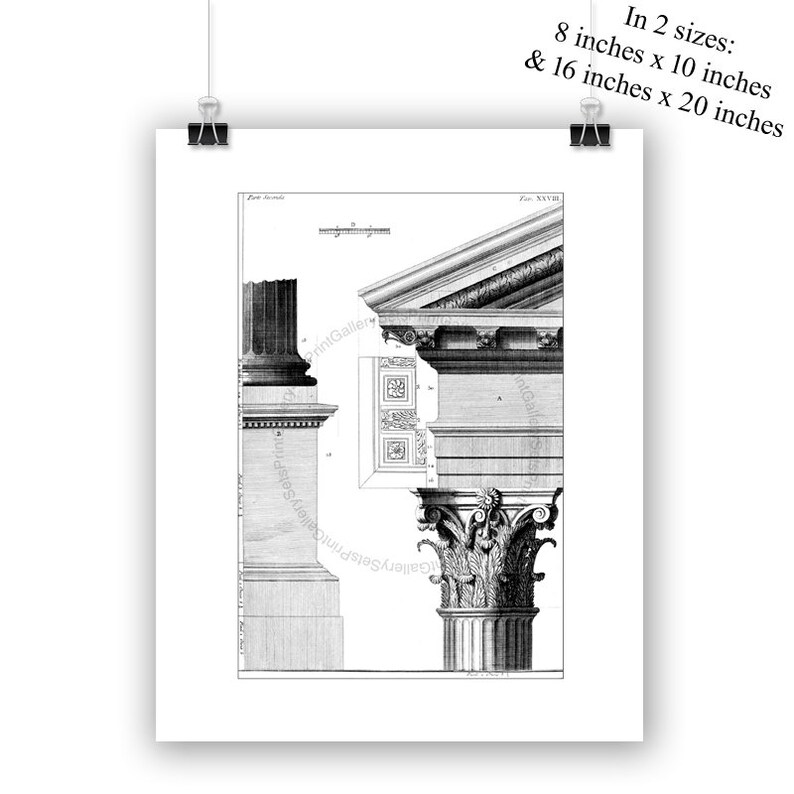 Palladian Columns Plinths Printable Download Print Set Architecture ...