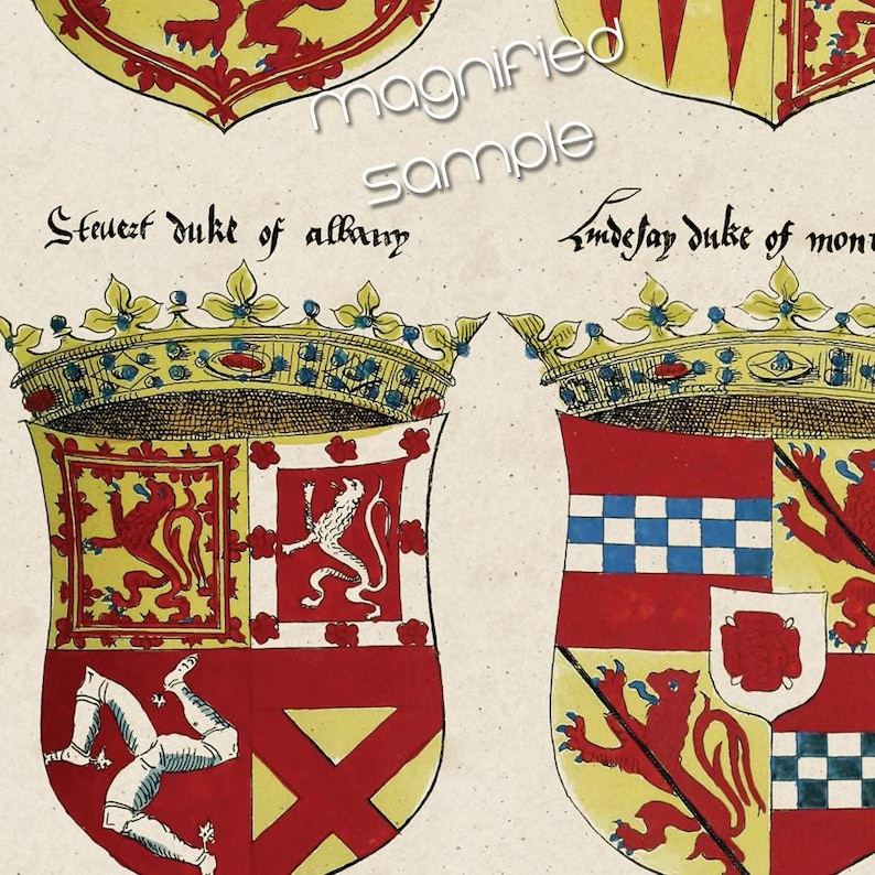 Heraldry Coat of Arms Print Download Medieval Armorial Shields European ...
