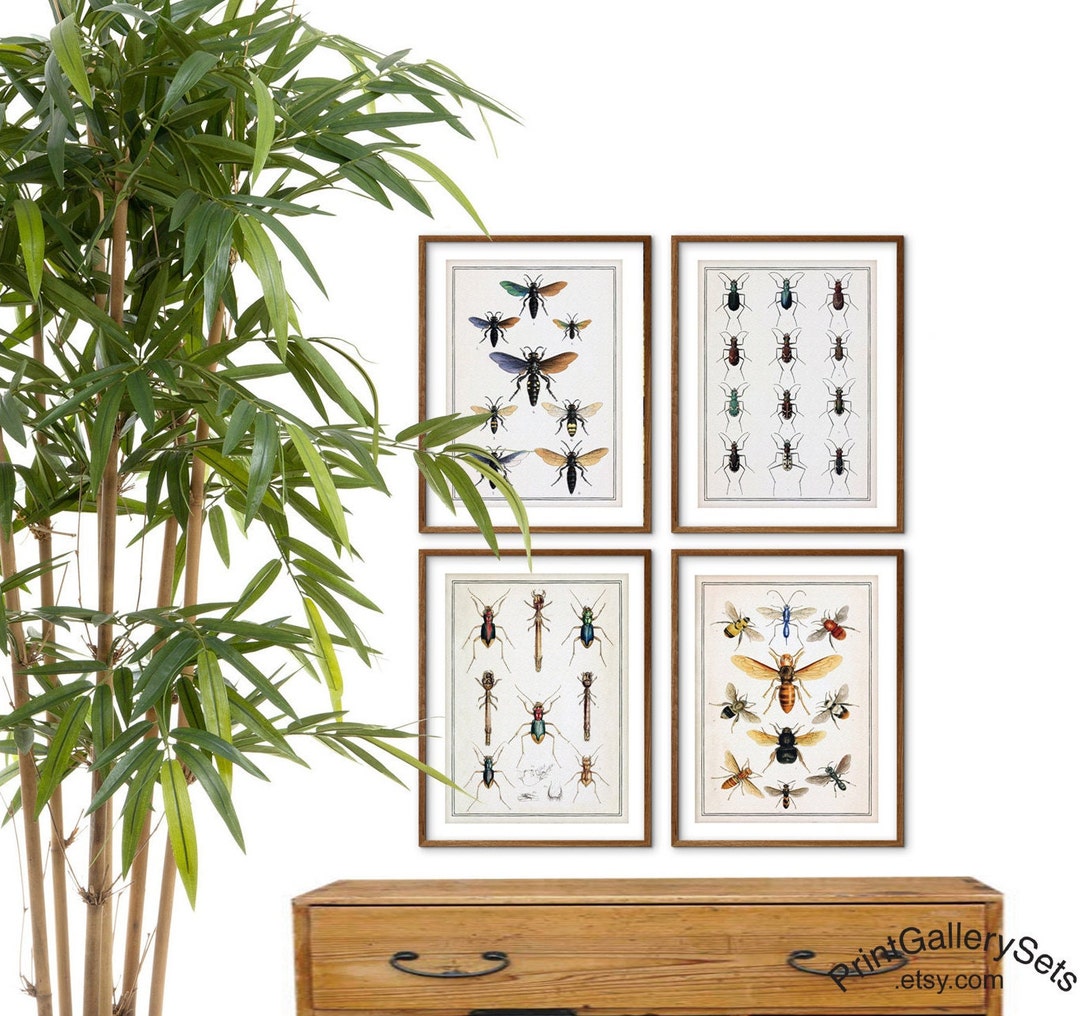 Insects Entomology Digital Download Prints Gallery Wall Art Set Bugs ...