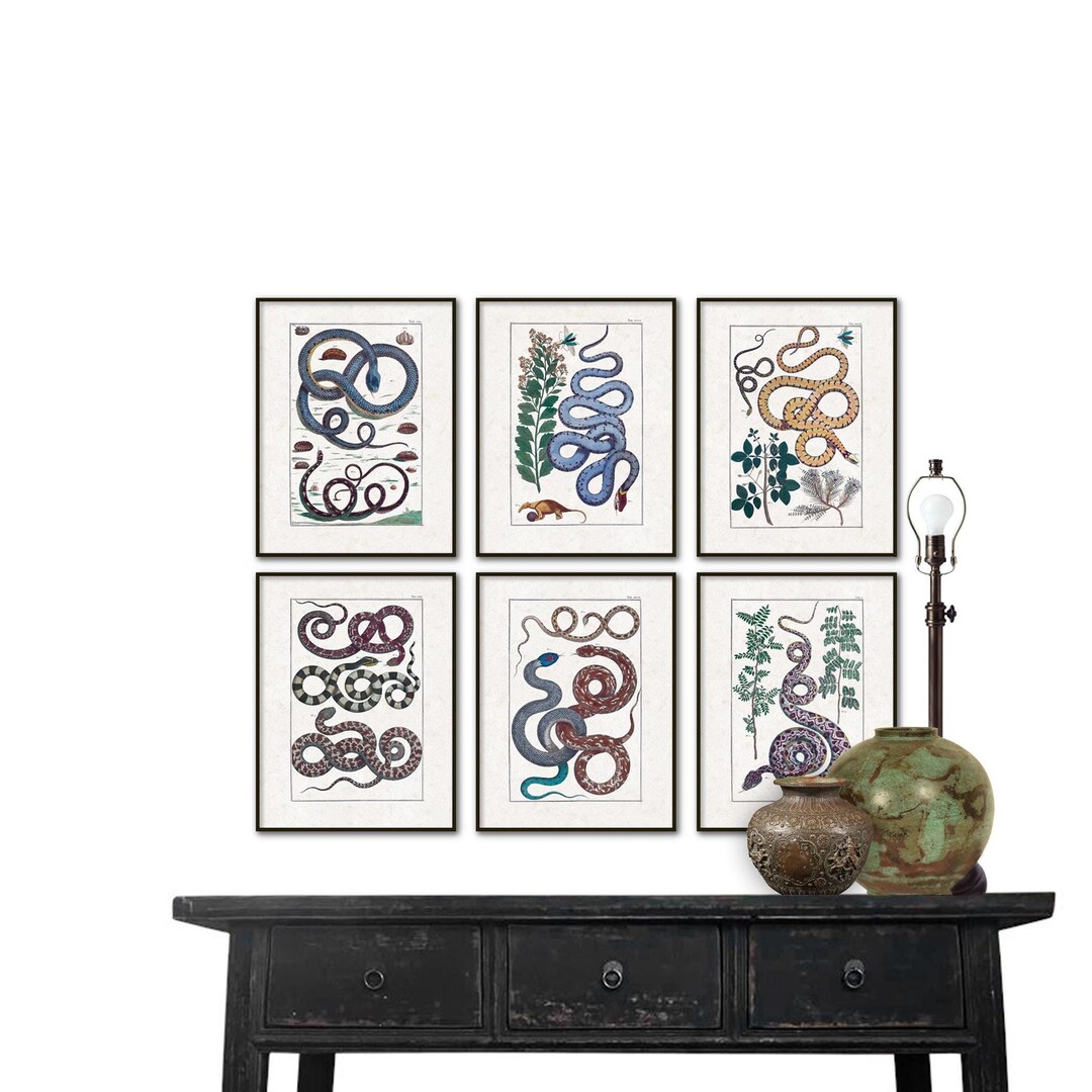 Snake Prints Set of 4 Antique Reptile Printable Digital Downloads Seba ...