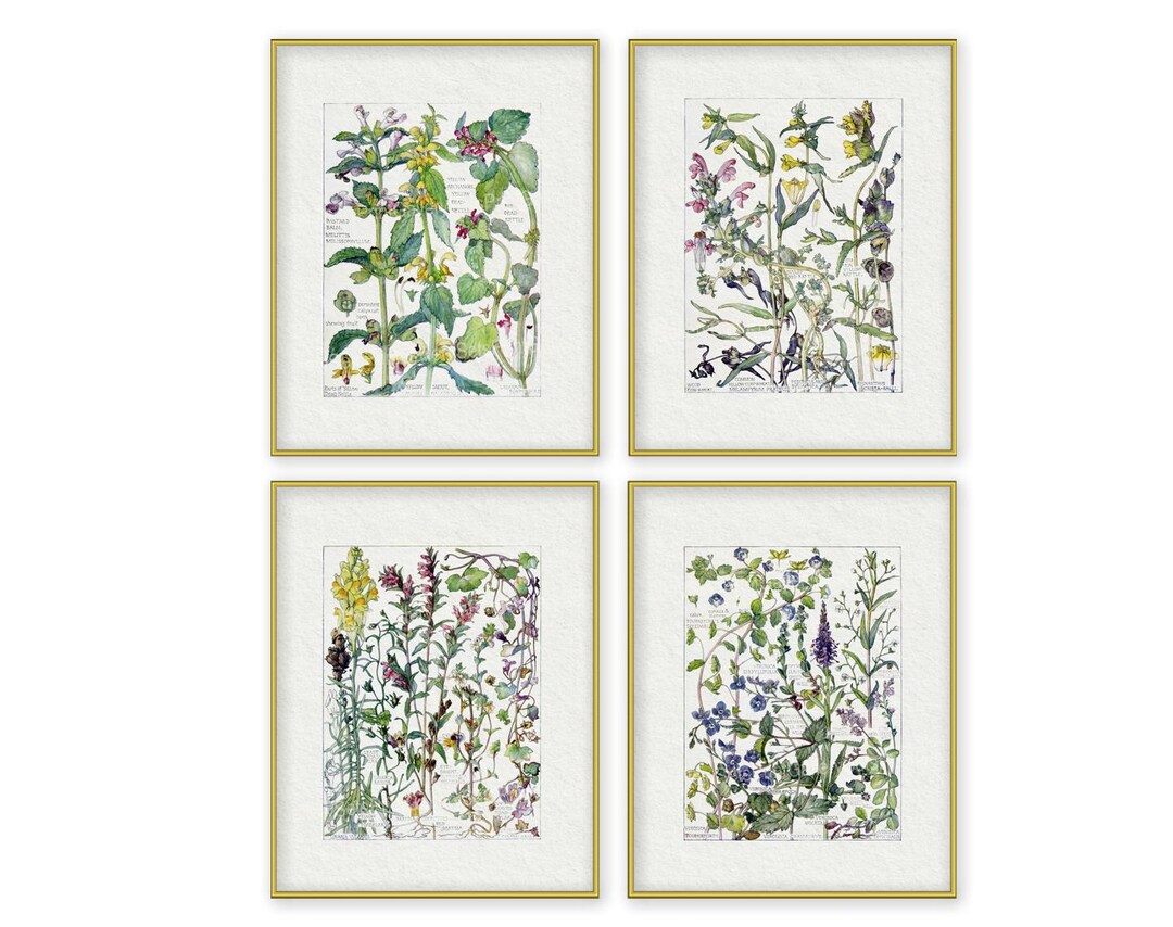 Wildflower Printables Botanic Watercolor Prints Set of 4 English ...