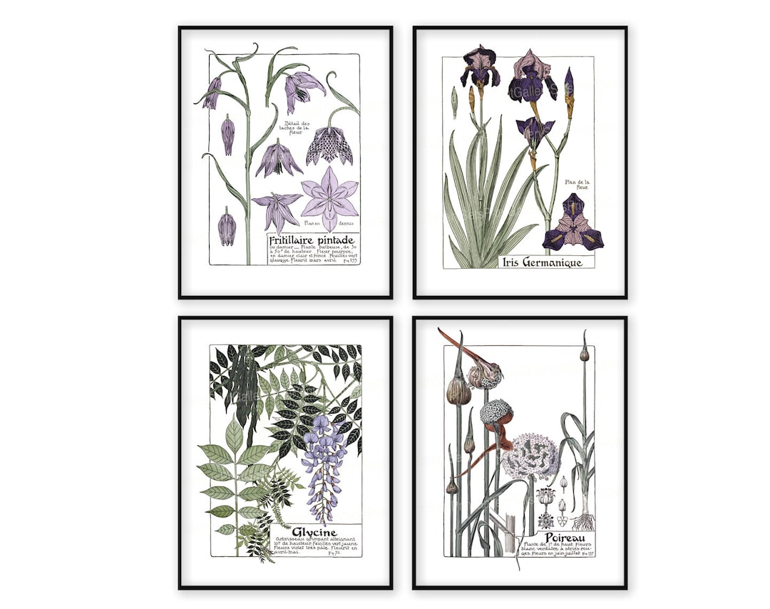 Botanical Art Nouveau Digital Download Flower Prints Color Book Plate ...