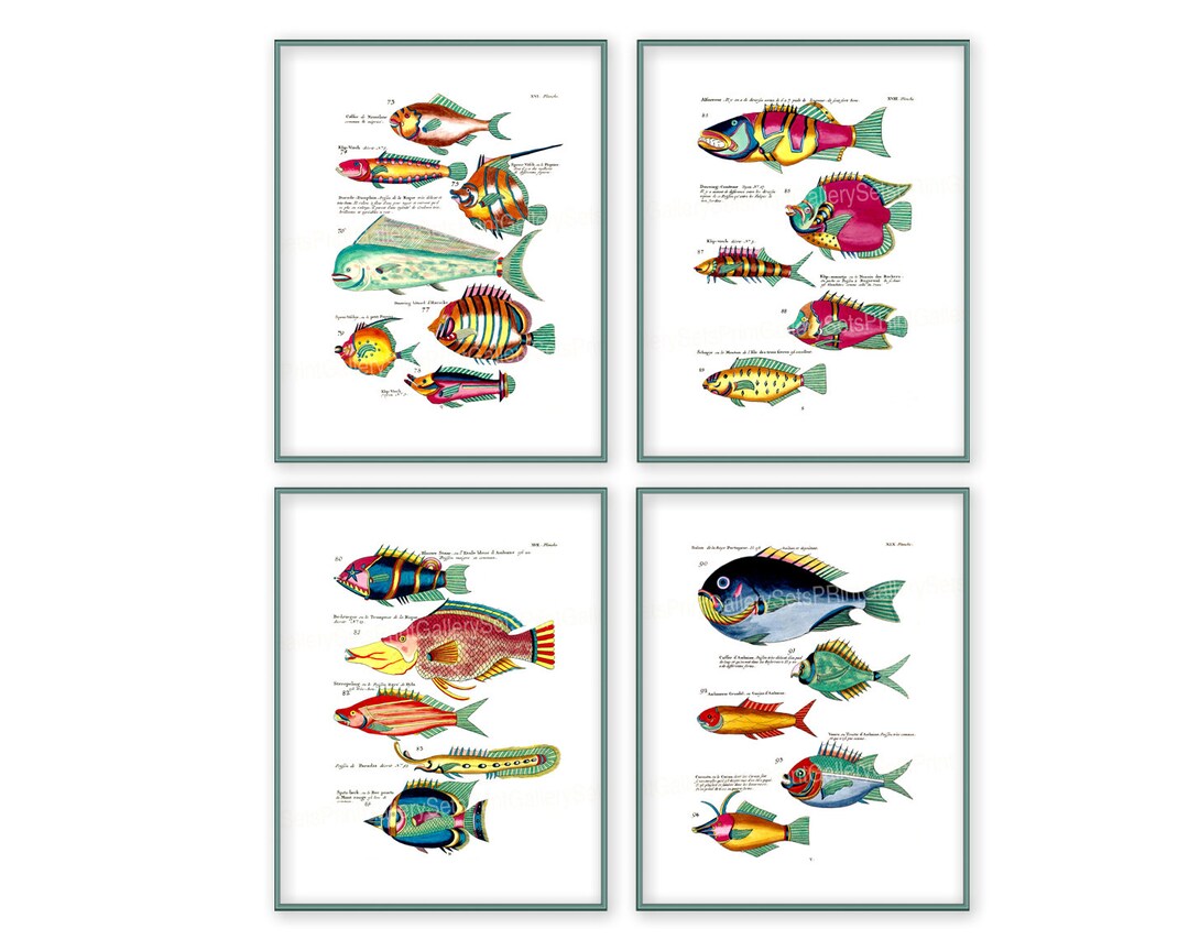 Exotic Tropical Fish Prints Digital Download Set of 4 Sea Zoology Louis ...